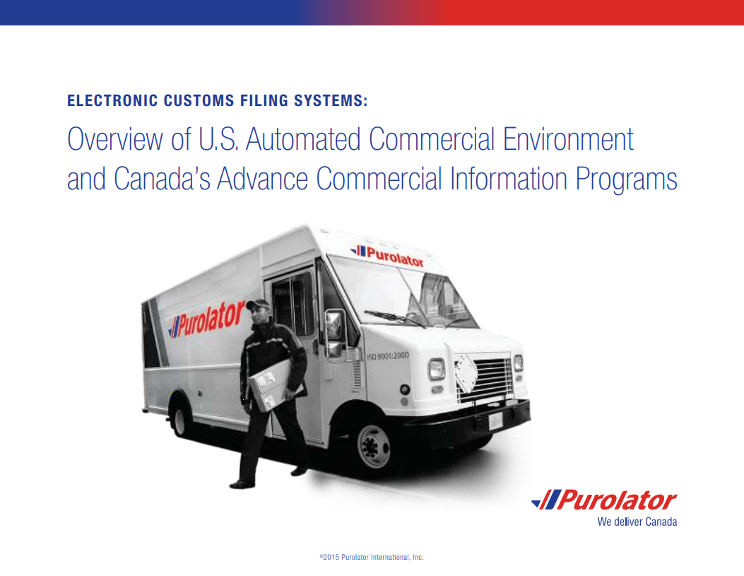 Electronic Customs Filing systems ACE and ACI