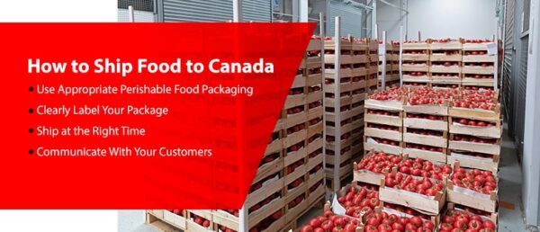A Guide to Shipping Perishables Across Borders